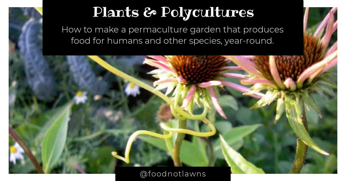 Food Not Lawns: How to Turn Your Yard into a Garden and Your ...