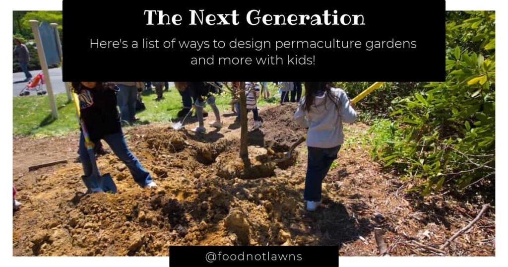 Who Illustrated Food Not Lawns?