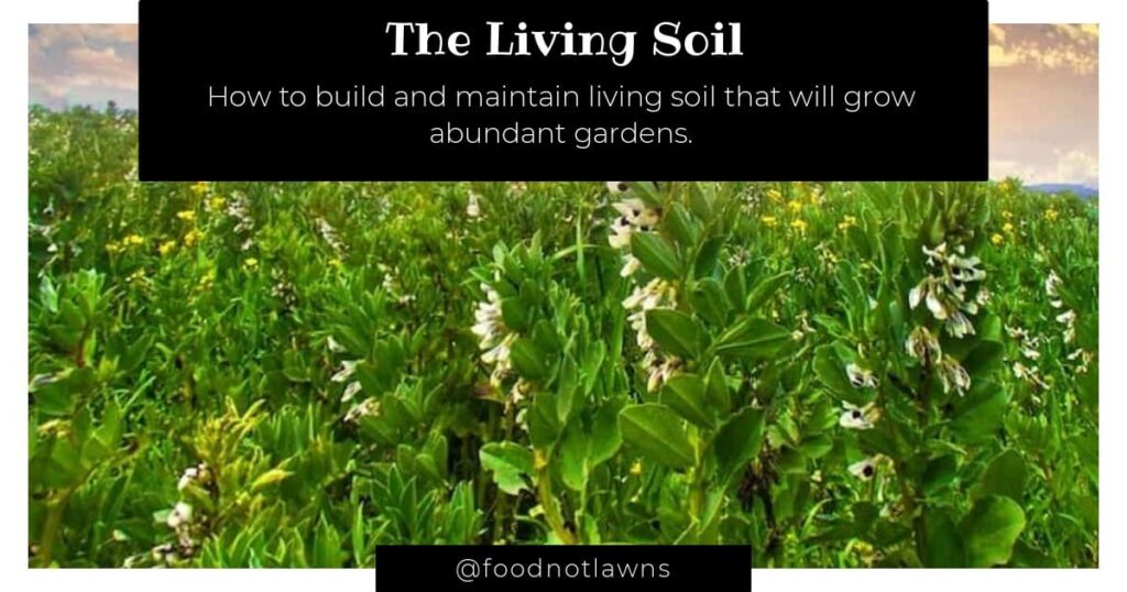 Food Not Lawns: How to Turn Your Yard into a Garden and Your ...