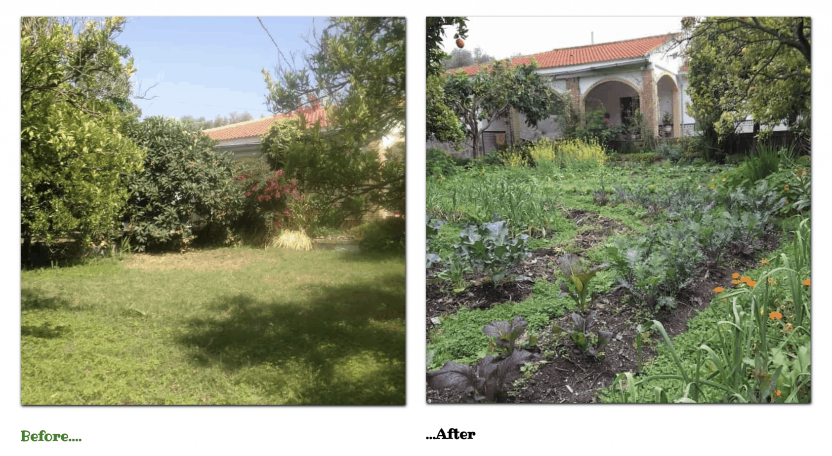 Grow Food Not Lawns
