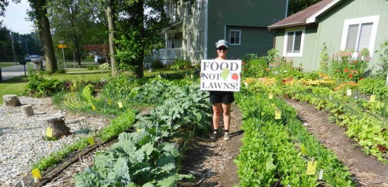 Food Not Lawns: How to Turn Your Yard into a Garden and Your ...