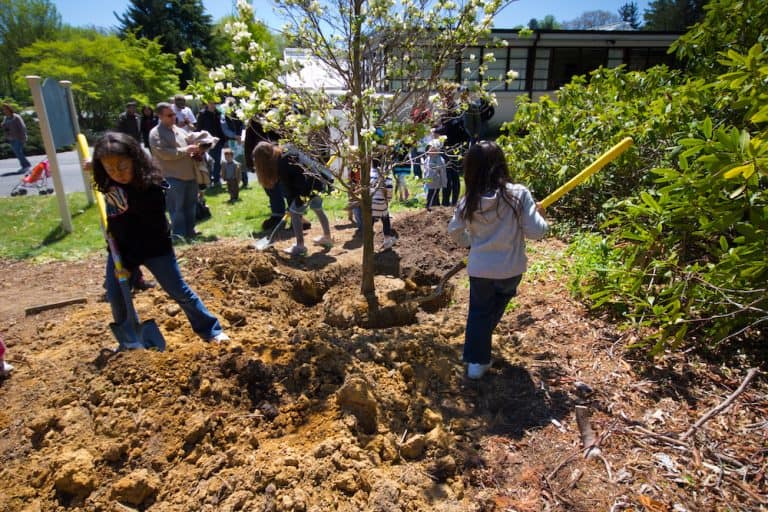 Doing Permaculture With Children